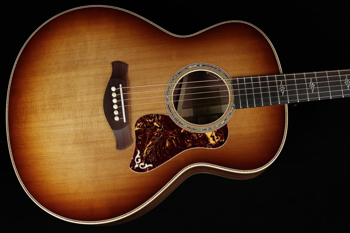 Taylor’s Gold Label Guitars Have Arrived — And You’ll Want to Hear The ...