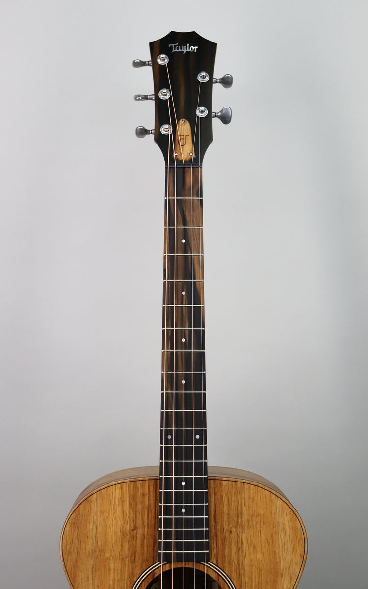 Taylor JCSM-5 Jacob Collier Signature Model 5-String – Detroit Guitar